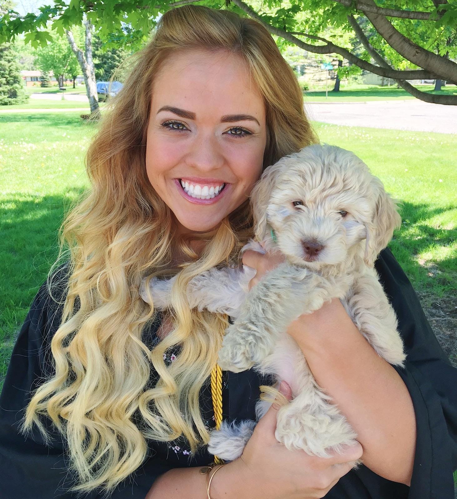 Pixie - Doodle Dog Hill