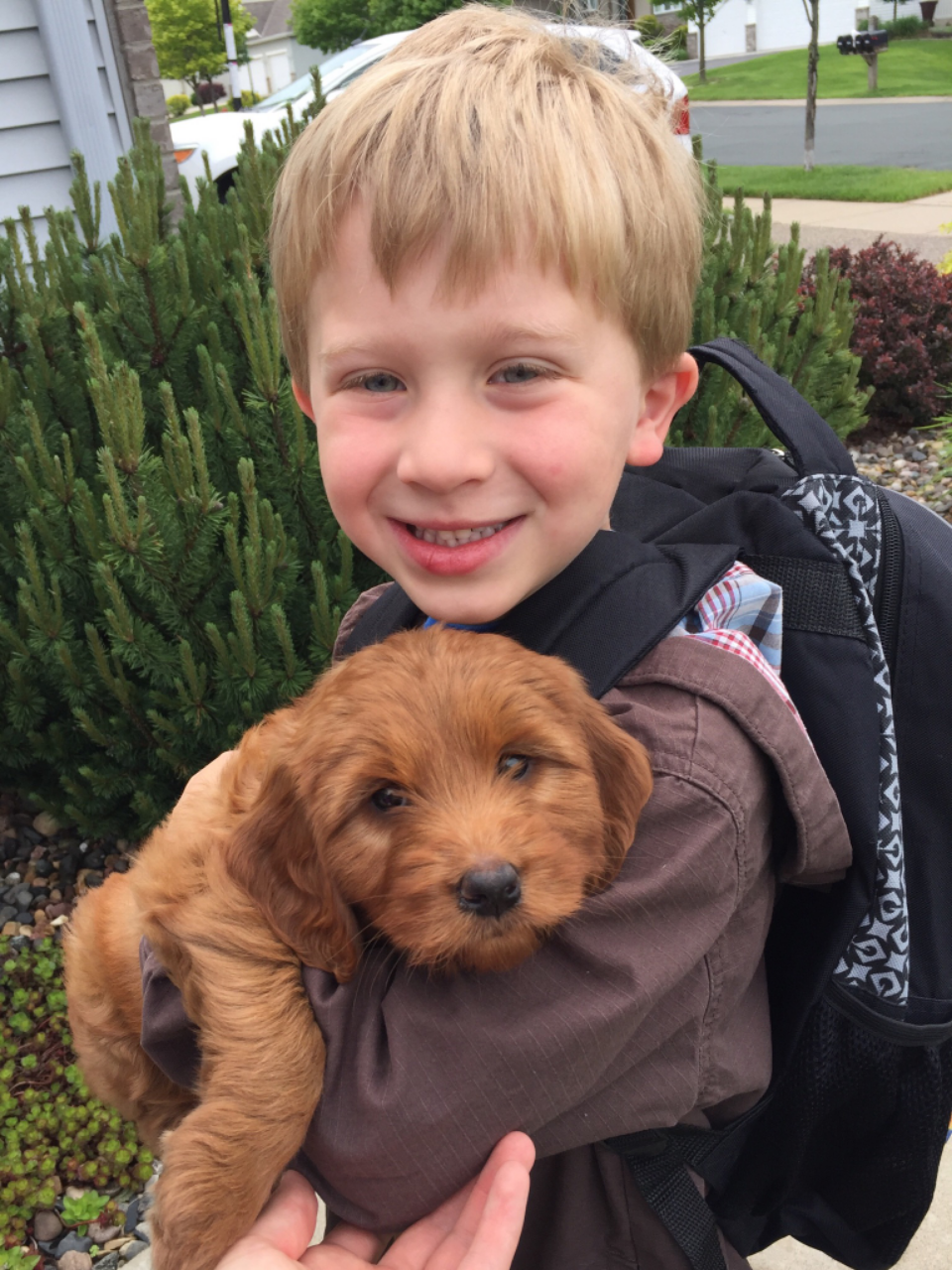 Ruby Sue - Doodle Dog Hill